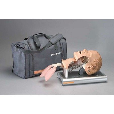 Ambu Airway Trainer